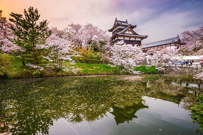 Japan Toll Free Numbers | United World Telecom Japan Toll Free Numbers | United World Telecom